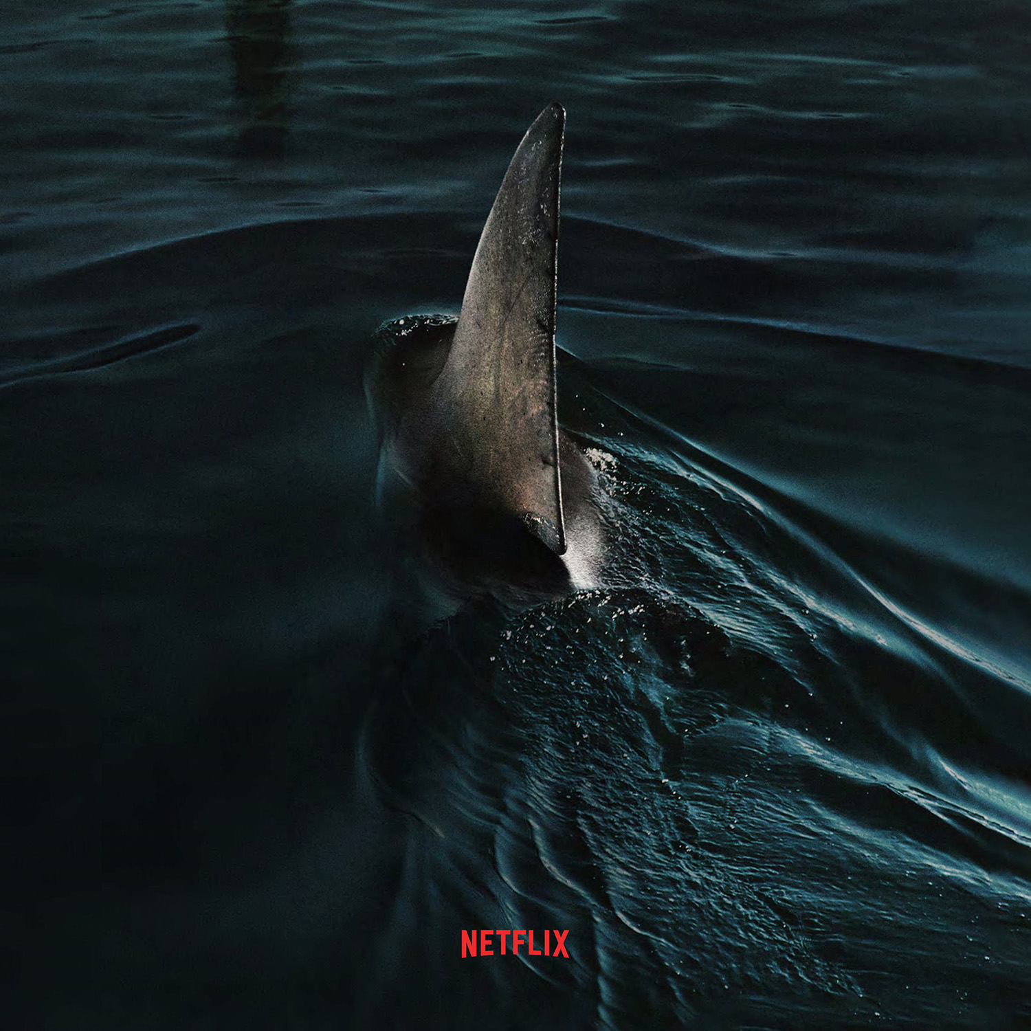 Sous la Seine : dossier de presse - Frenetic Arts